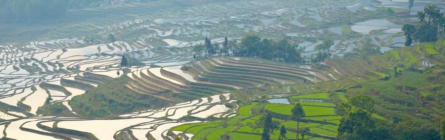 Incredible Yunnan | Insight Guides